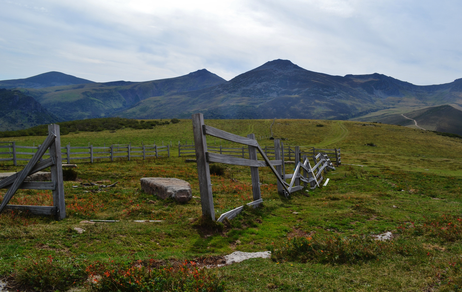 Puertos de Sejos | Reserva del Saja